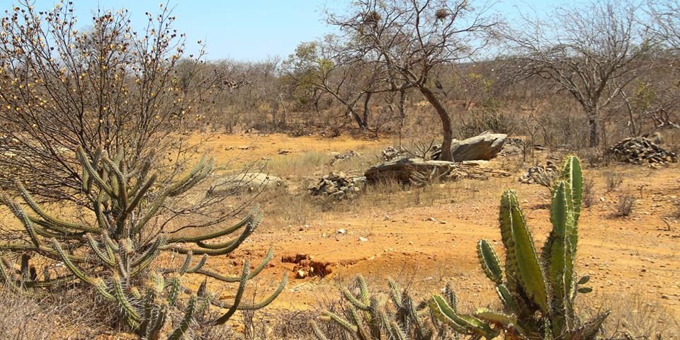 O semiárido do Brasil e dos Estados Unidos – uma rápida comparação ...